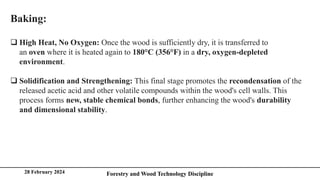 PlatoWood: A special type of wood........ | PPTX