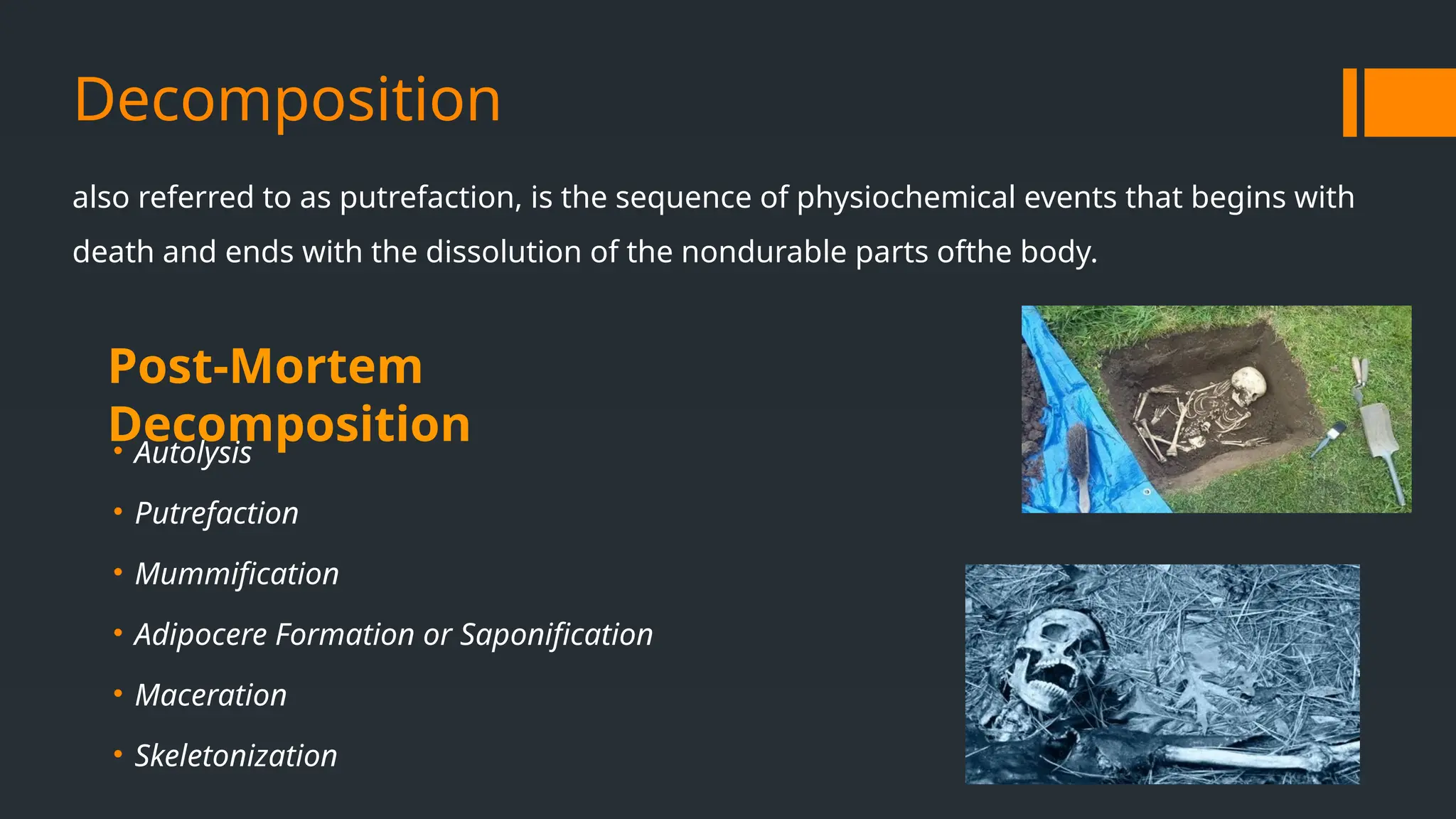 GROUP-2-FINAL-PRESENTATION.pptx Homicide investigation | PPTX