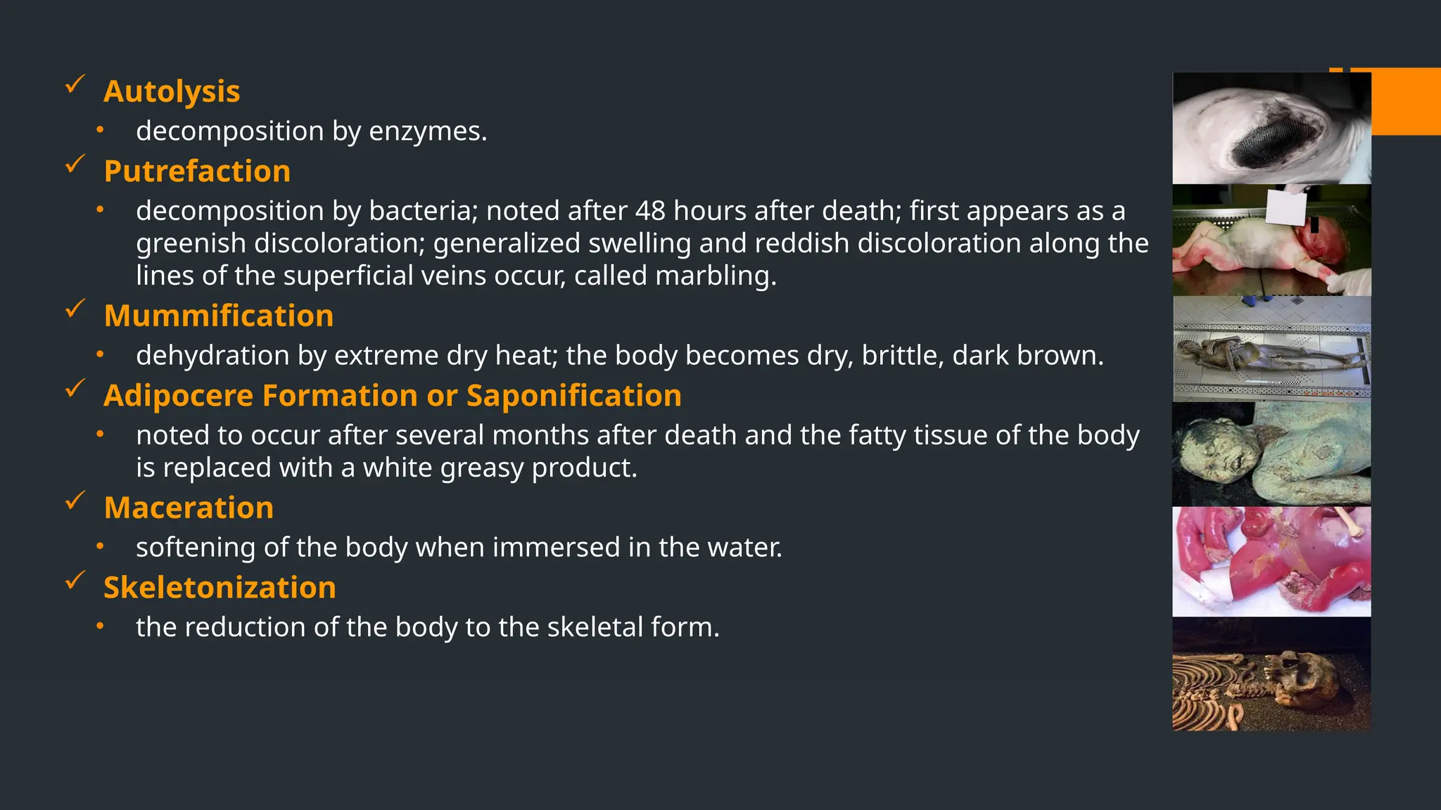GROUP-2-FINAL-PRESENTATION.pptx Homicide investigation | PPTX