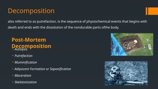 GROUP-2-FINAL-PRESENTATION.pptx Homicide investigation | PPTX