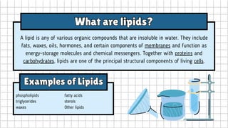 Physical Science Macromolecules _ Lipids | PDF