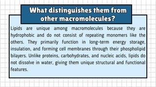 Physical Science Macromolecules _ Lipids | PDF
