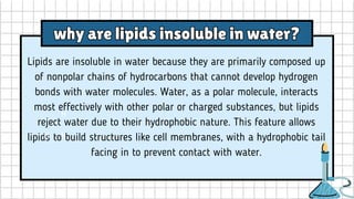 Physical Science Macromolecules _ Lipids | PDF