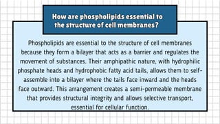 Physical Science Macromolecules _ Lipids | PPT