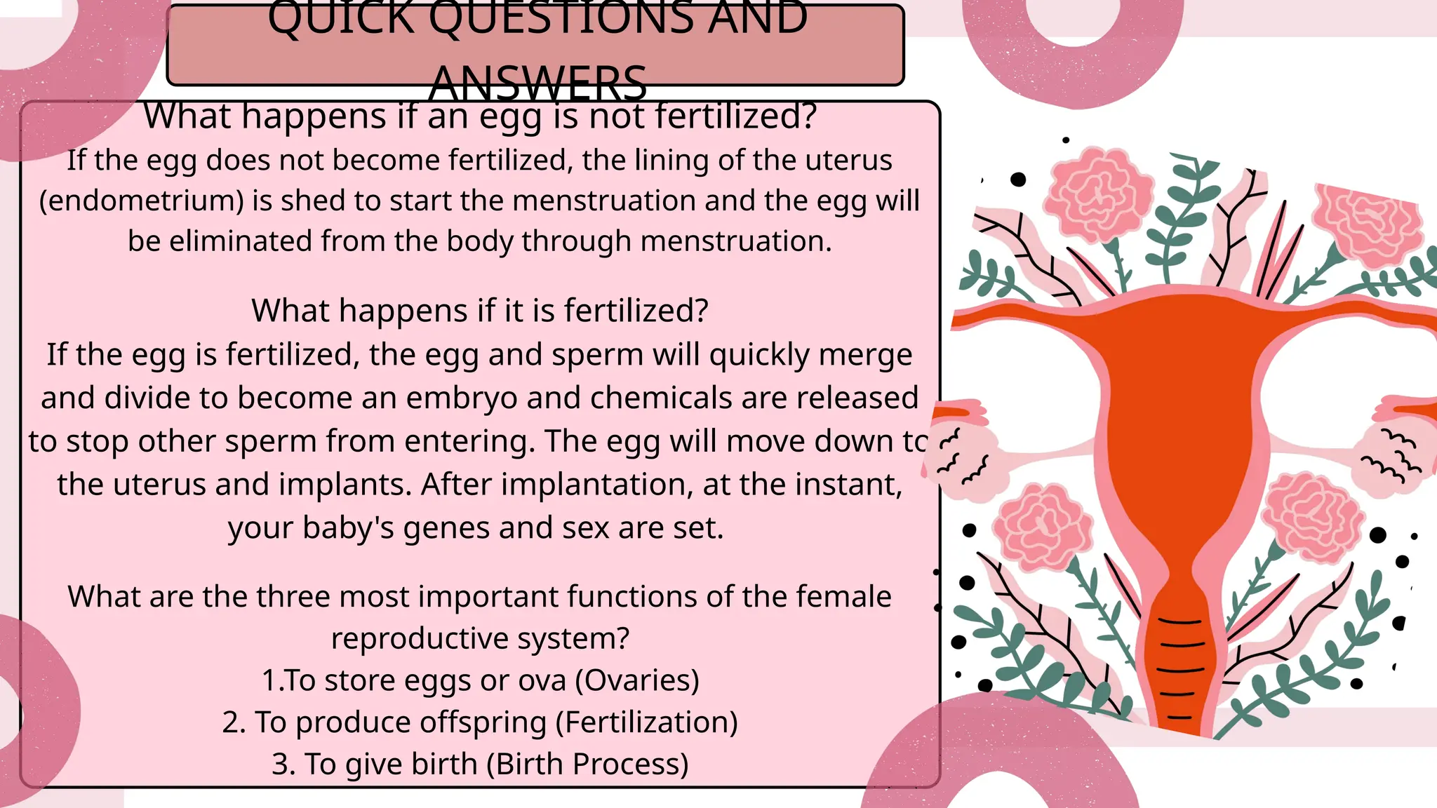 Group 2 Ppt Yezzzzzz Female Reproductive System Pptx