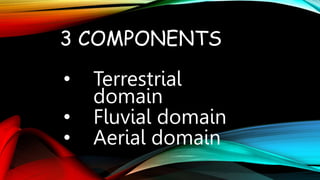 Group-2-Report-in-Philippine-History.pptx