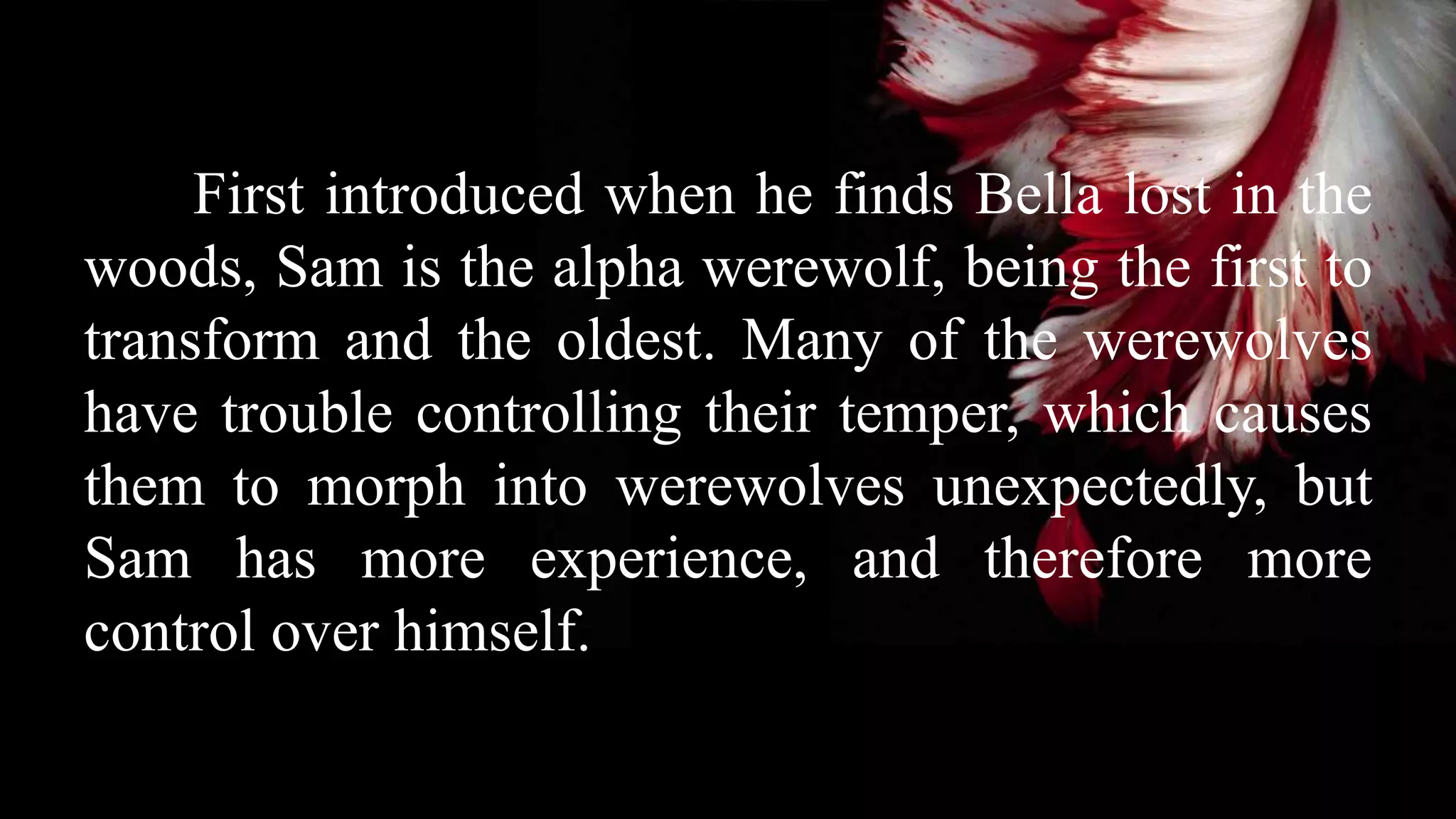 twilight saga new moon book review | PPTX