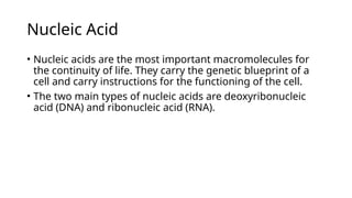 unit 5. Lesson in Nucleic acid chemistry | PPTX