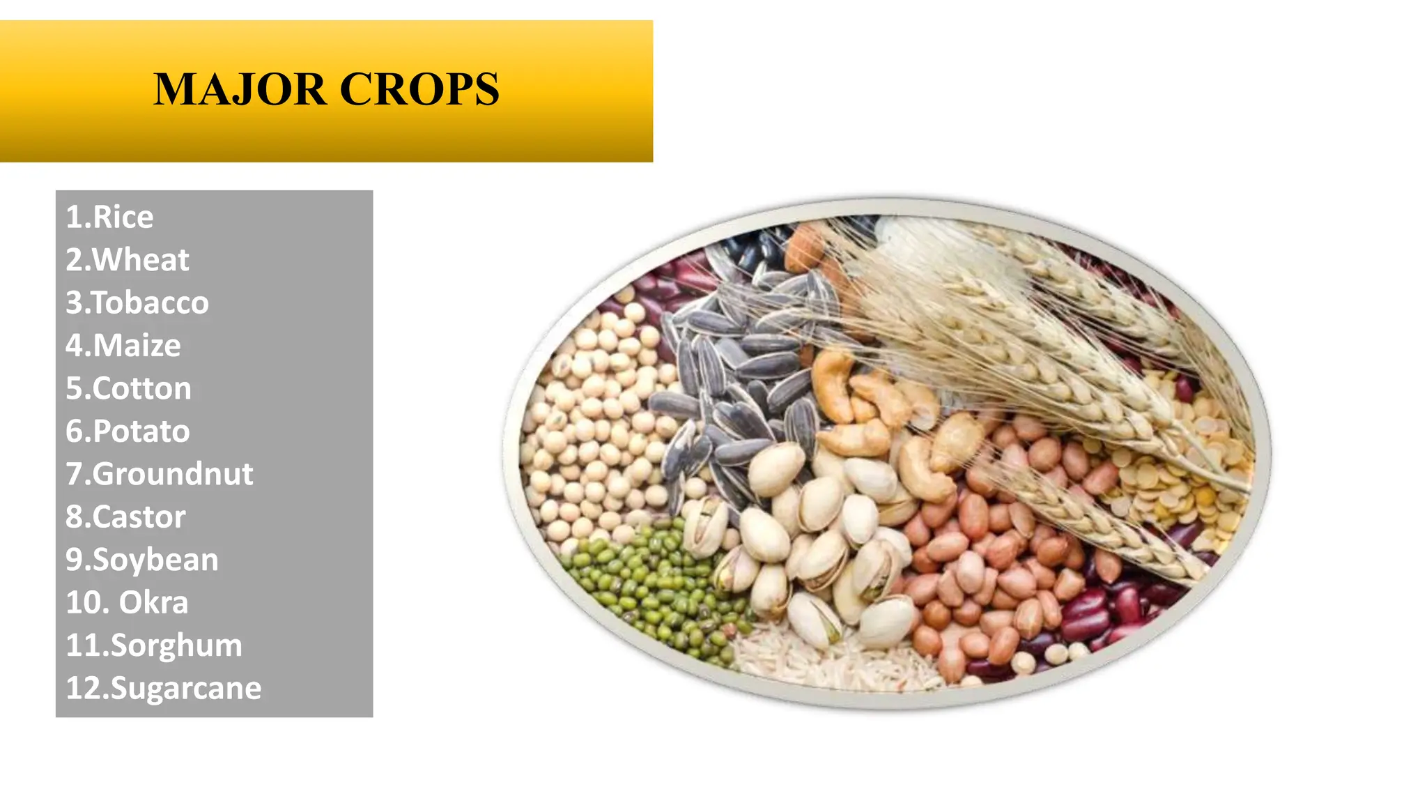 Alternative use of major crops...... | PPTX