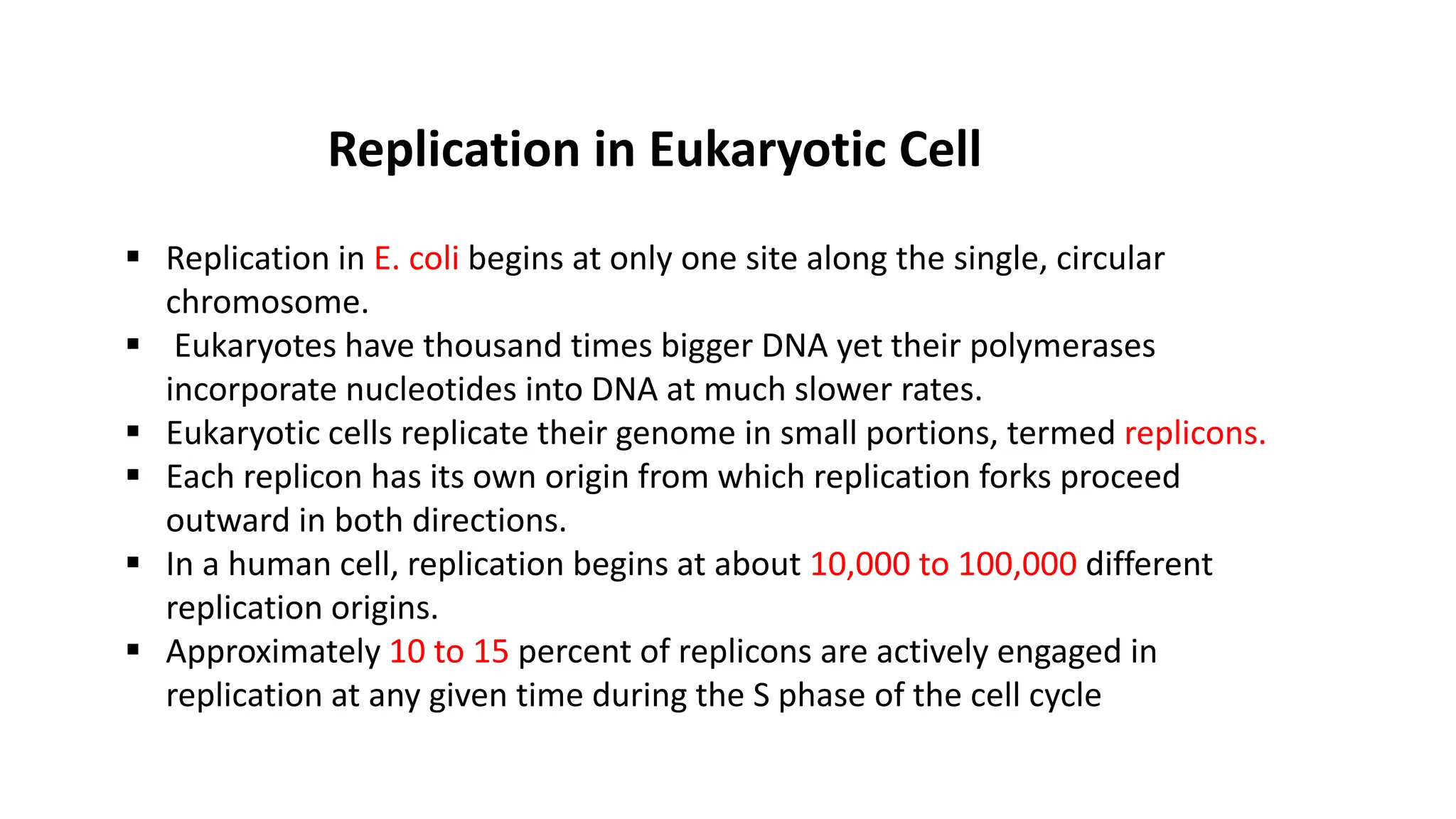 Dna Replication In Eukaryotes Initiation Elongation Termination