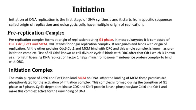 DNA Replication in Eukaryotes (initiation-elongation-termination ...