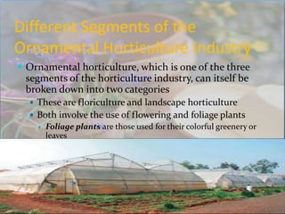 Horticulture and flroriculture as Agribusiness in India | PPTX
