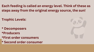 Biodiversity (feeding relationship and energy transfer) | PPT