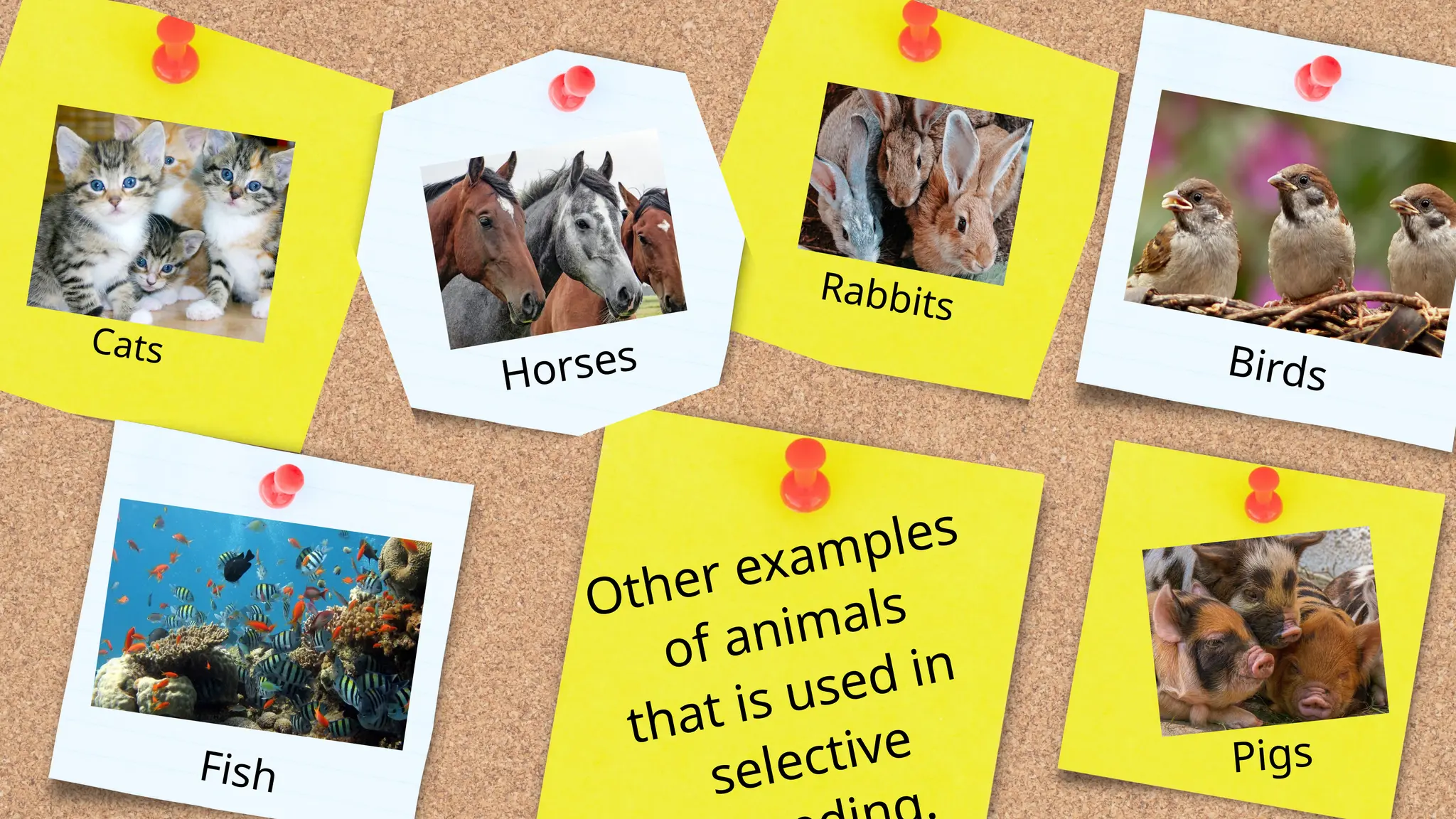 Group-3-Assignment-Test-In-Science-PPT.pptx