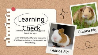 Group-3-Assignment-Test-In-Science-PPT.pptx