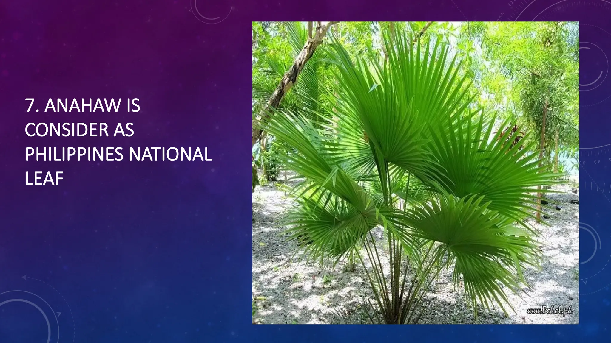 GROUP-3-CFLM-Bs-crim-2B.pptxDoing some things | PPT