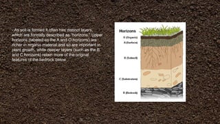 Chemistry of Soil. Layer composition factors etc | PDF