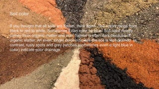 Chemistry of Soil. Layer composition factors etc | PDF