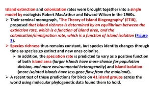 GROUP-3-MRB-147-HJV-Island-biogeography_Group3.pdf