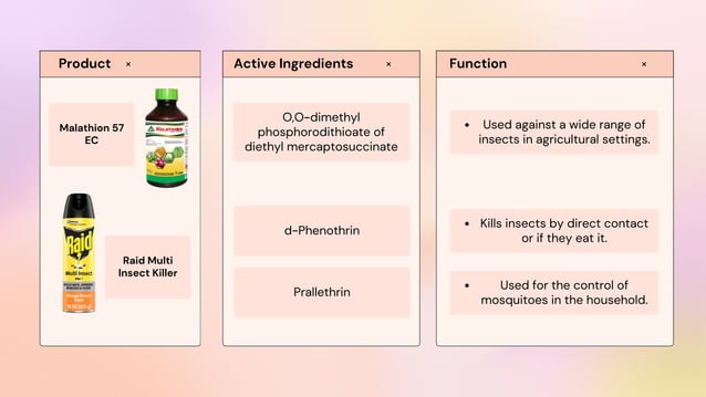 GROUP-4-CONCHEM-INSECTICIDES.KEMELANG.pdf