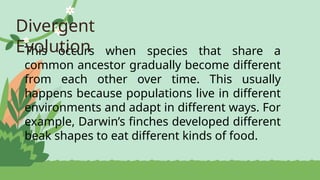 Comprehensive Overview of Evolution: Origins, Processes, Types, and ...
