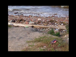 Group 4 Pollution~Public Service Anouncement | PPT