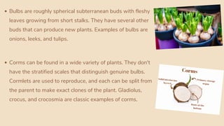 Reproduction-and-Development-in-Plants (1).pdf