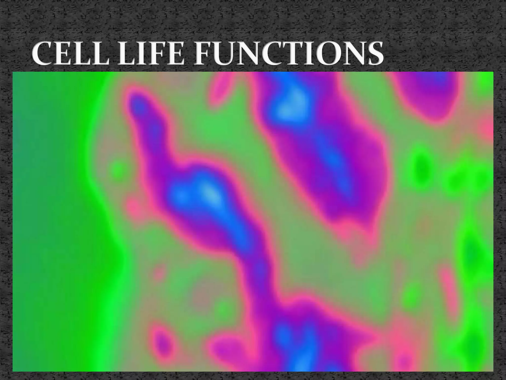 Cells, Photosynthesis, Genes, Reproduction, Genetic Engineering ...