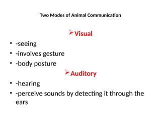 Group-five-EL-101-Animal-Consciousnes.pptx