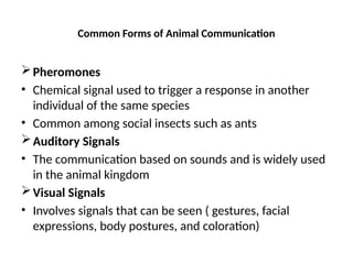 Group-five-EL-101-Animal-Consciousnes.pptx