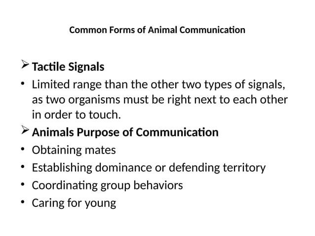 Group-five-EL-101-Animal-Consciousnes.pptx