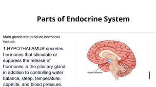 GROUP-5-ENDOCRINE-SYSTEM1234556-1-2.pptx