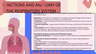 Comprehensive Anatomy and Functions of the Human Respiratory System | PPTX