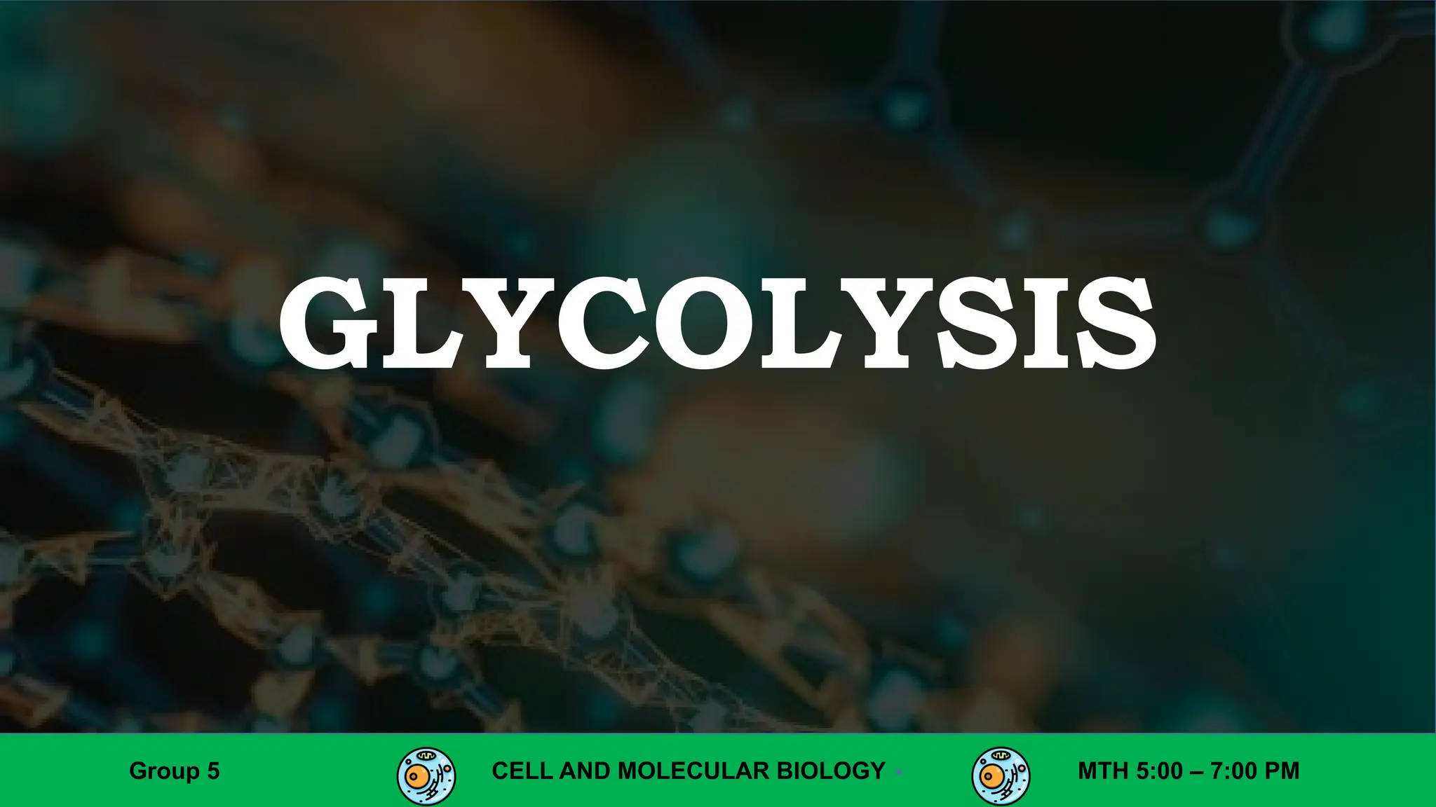 GROUP-5-GLYCOLYSIS SCIENCE.ppt_070108-2.pptx