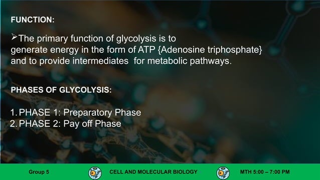 GROUP-5-GLYCOLYSIS SCIENCE.ppt_070108-2.pptx