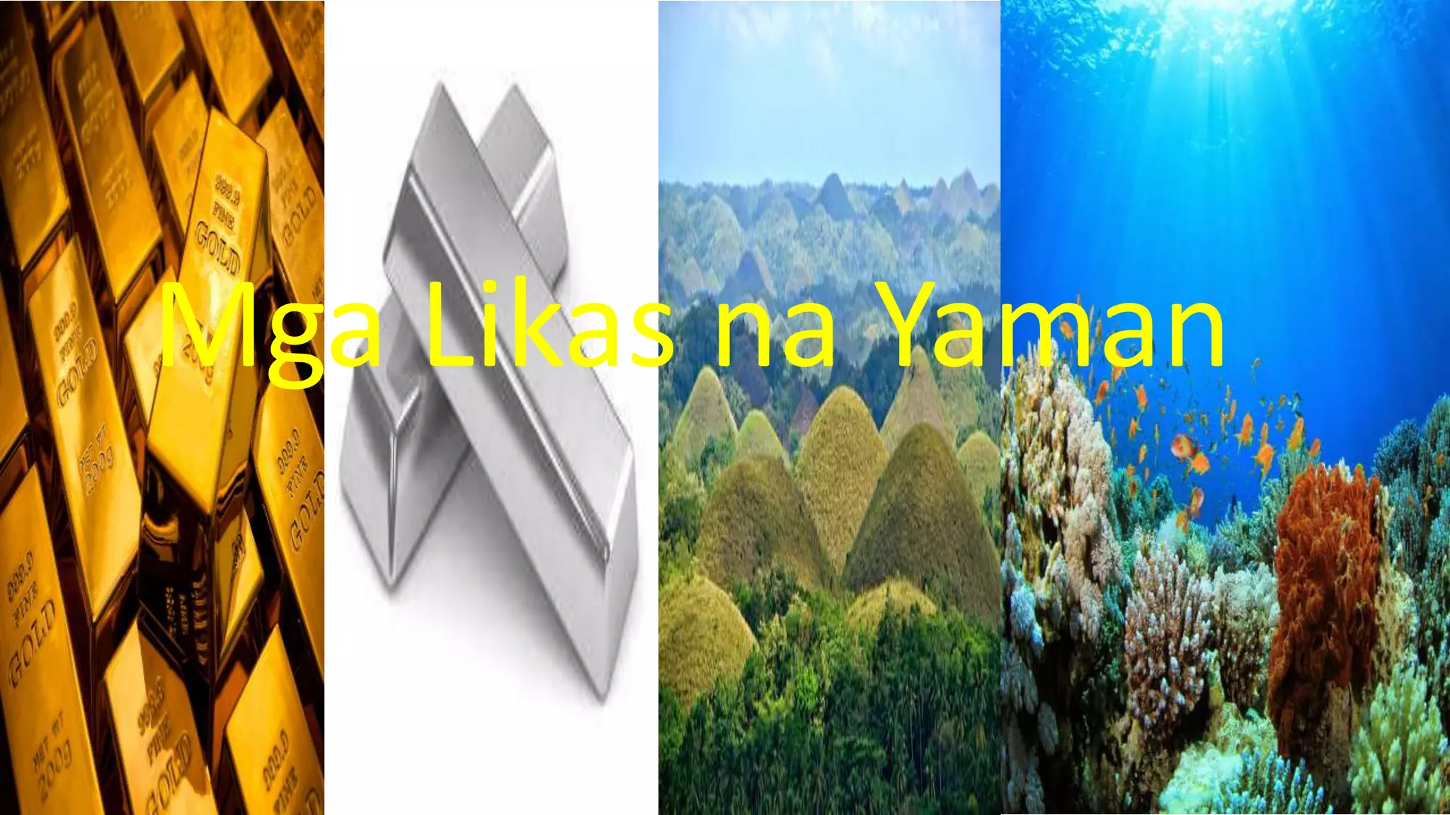 Yamang Likas | PPTX