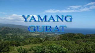 Yamang Likas | PPTX