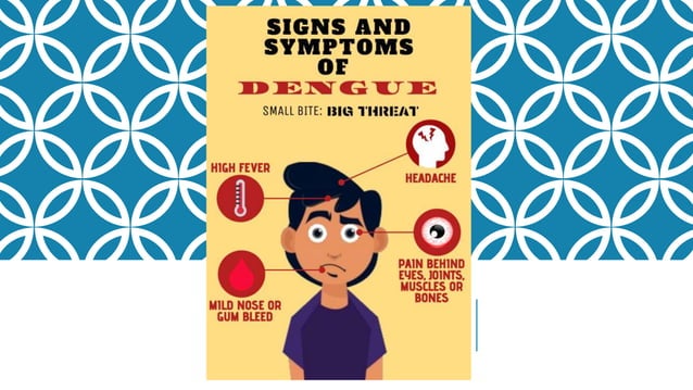Dengue Awareness posters | PPTX