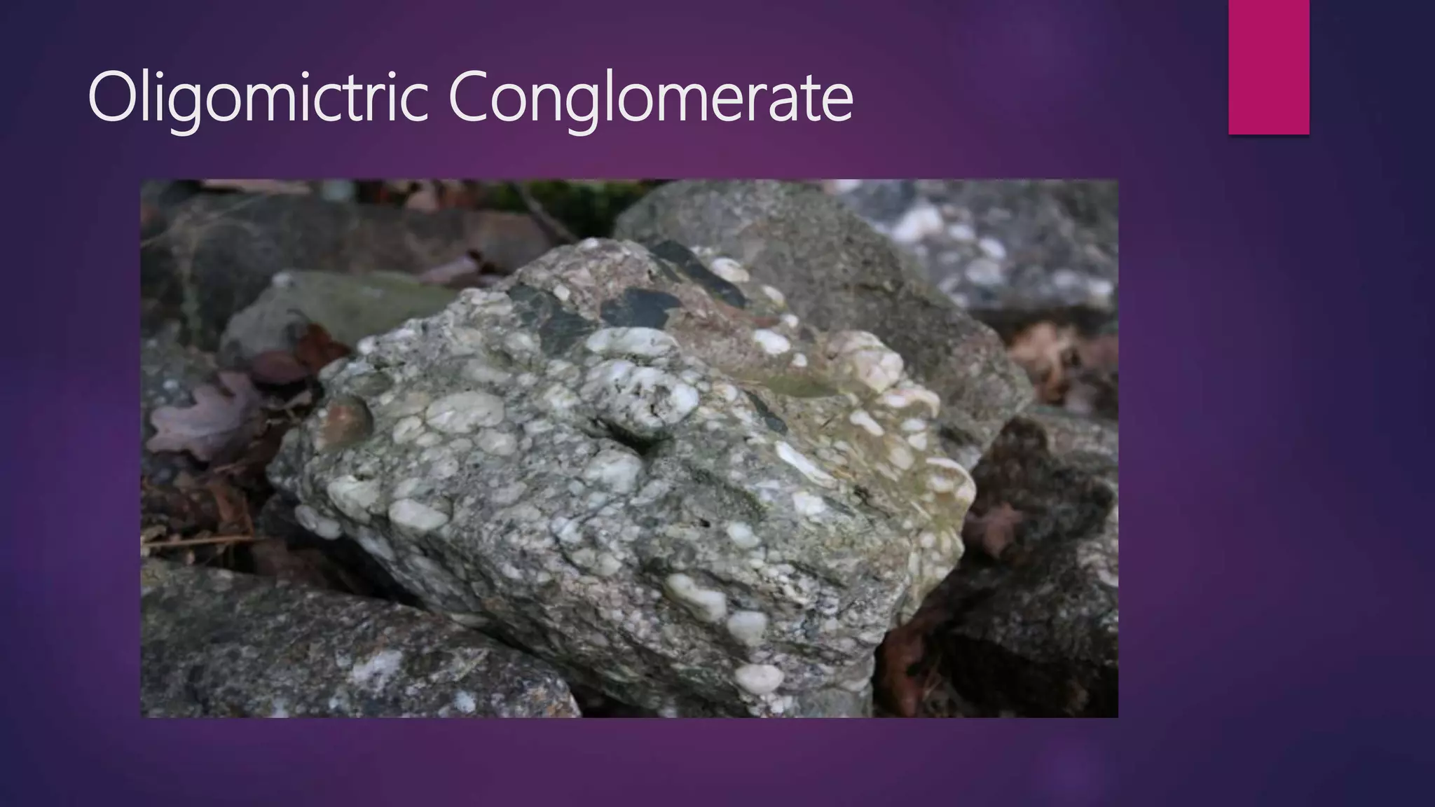 Clastic and Non-Clastic Sediments | PPTX