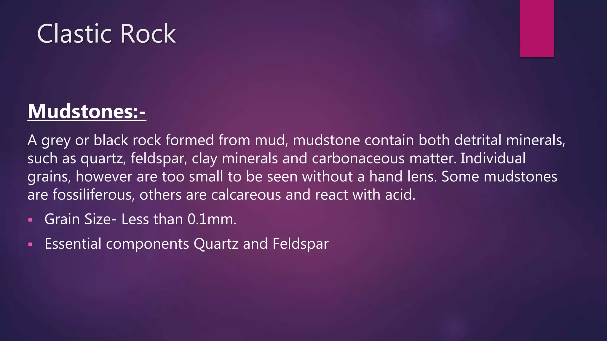 Clastic and Non-Clastic Sediments | PPTX