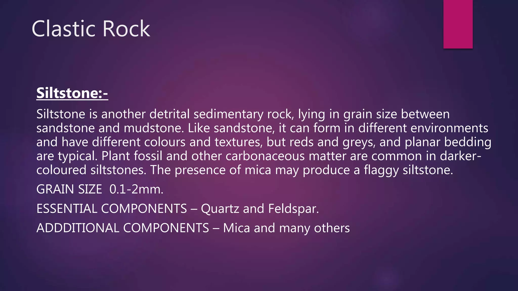 Clastic and Non-Clastic Sediments | PPTX