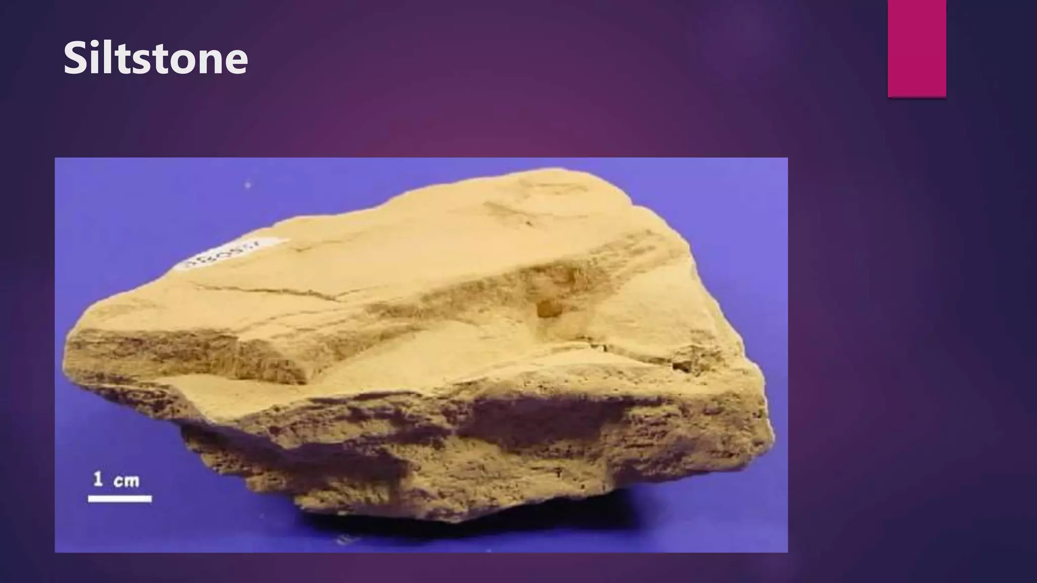 Clastic and Non-Clastic Sediments | PPTX