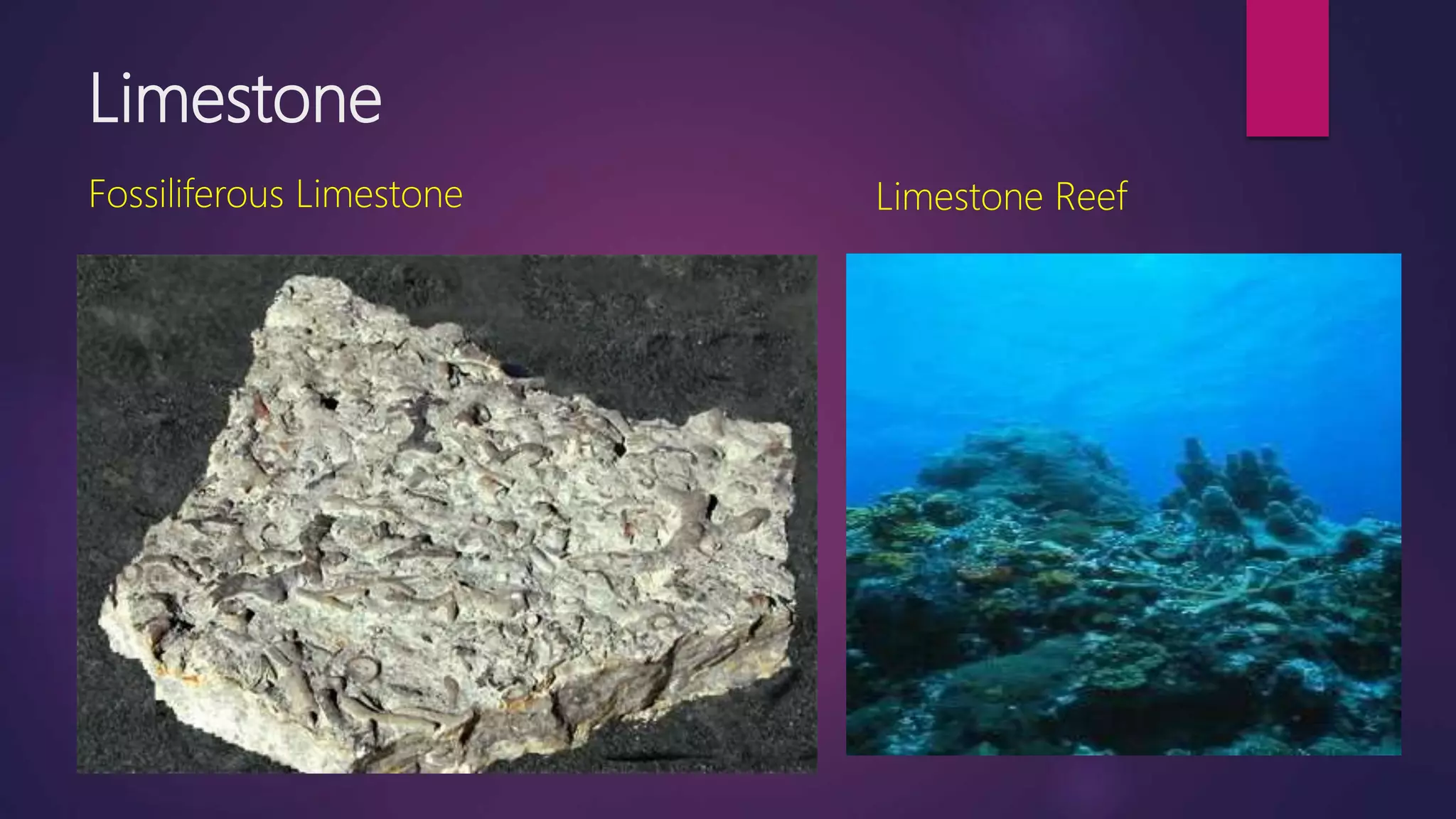 Clastic and Non-Clastic Sediments | PPTX