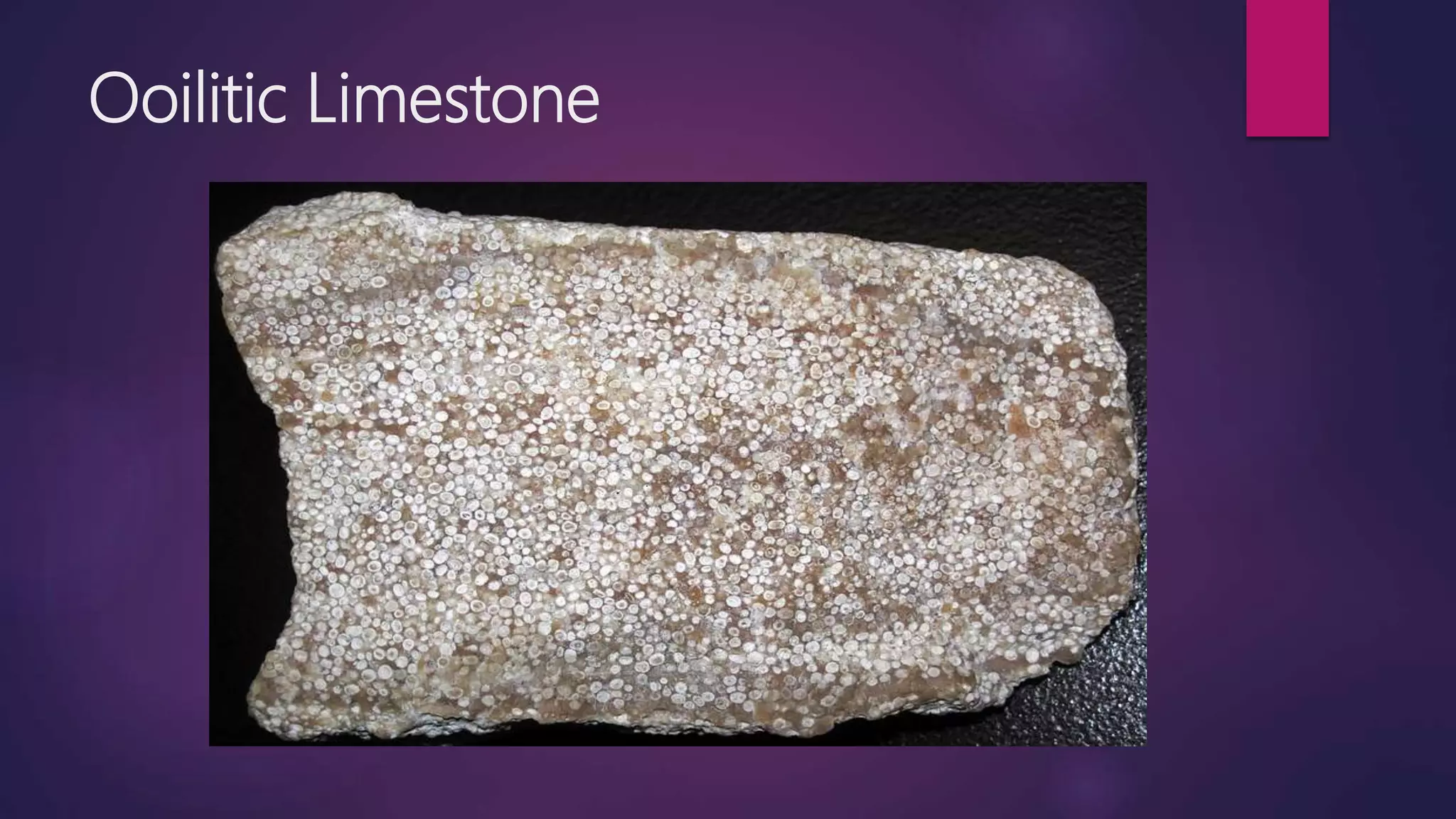 Clastic and Non-Clastic Sediments | PPTX