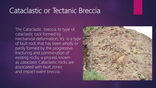 Clastic and Non-Clastic Sediments | PPTX