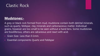 Clastic and Non-Clastic Sediments | PPTX