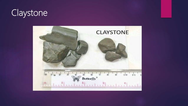 Clastic and Non-Clastic Sediments | PPTX