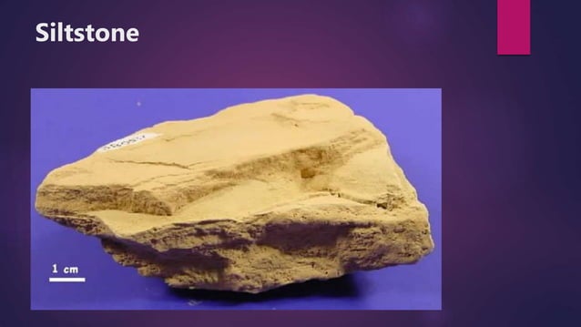 Clastic and Non-Clastic Sediments | PPTX