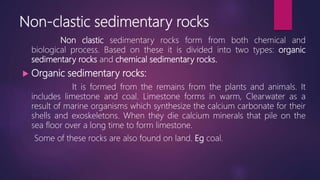 Clastic and Non-Clastic Sediments | PPTX