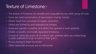 Clastic and Non-Clastic Sediments | PPTX